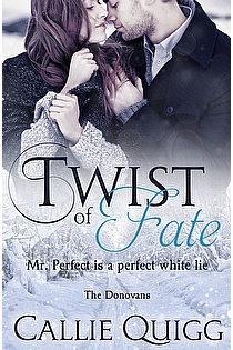 Twist of Fate by Callie Quigg, Feel-Good Steamy Romance | eBook Deals From eBookSoda.com